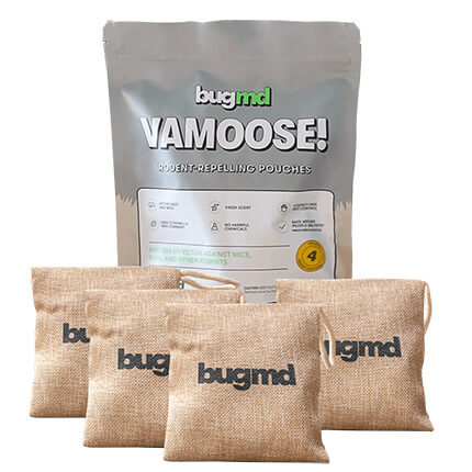 BugMD: Vamoose